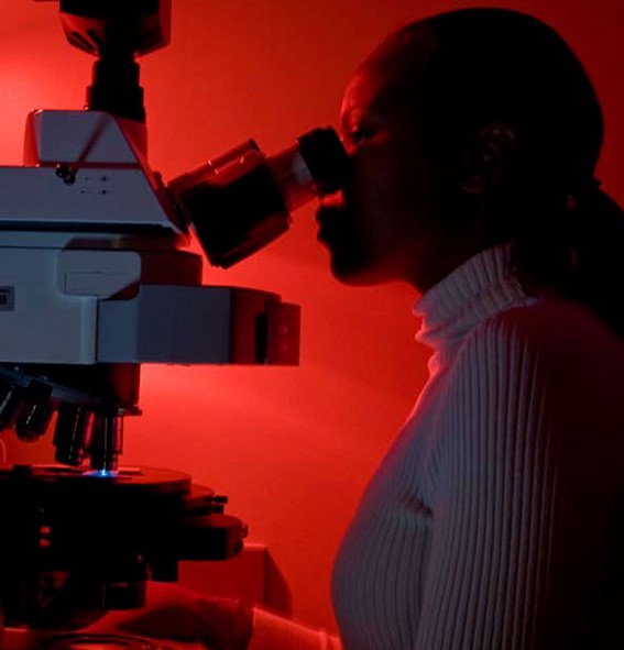 School of Medicine - Department of Radiation Oncology